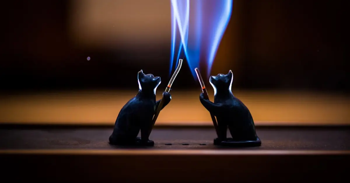 Can cats see infrared light? Exploring Feline Vision and Perception